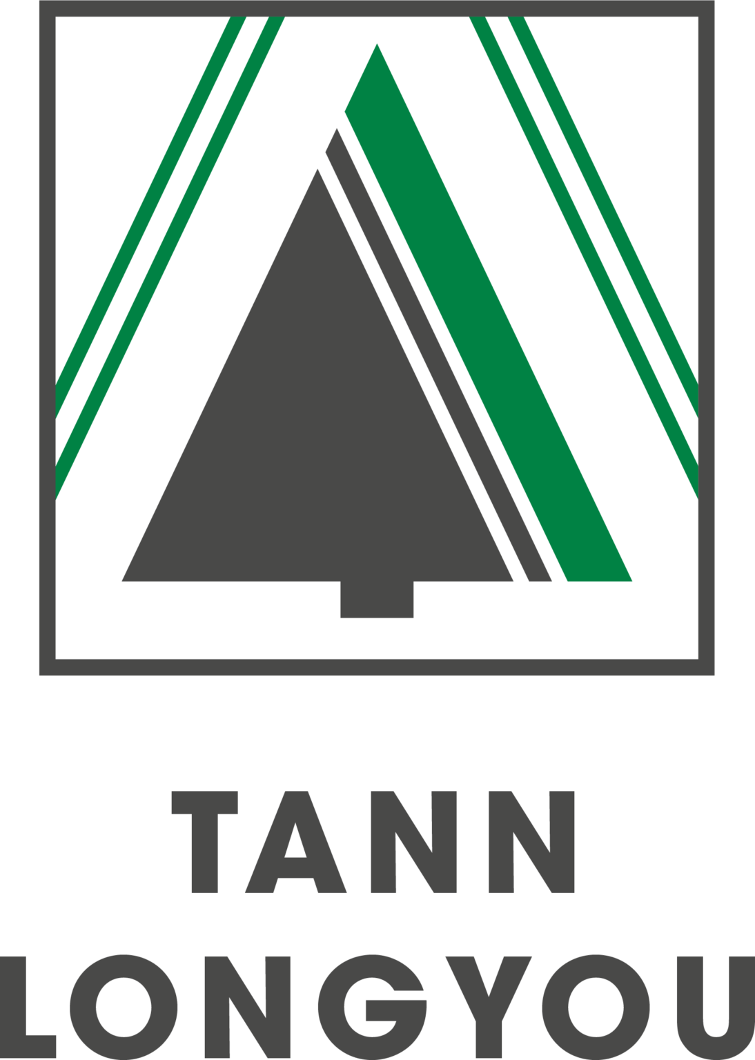 TANN GERMANY - TANN GROUP
