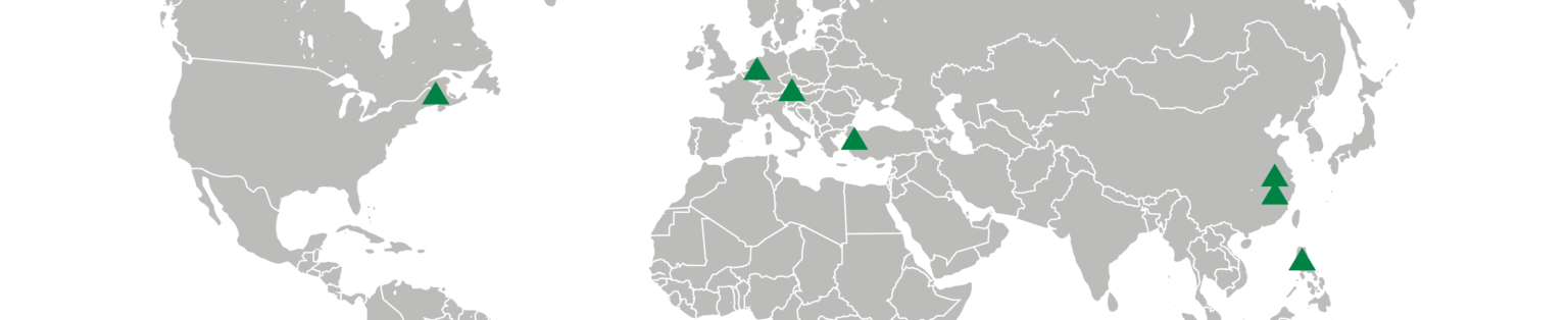 Your partner for Tipping Paper & Packaging | TANN Group